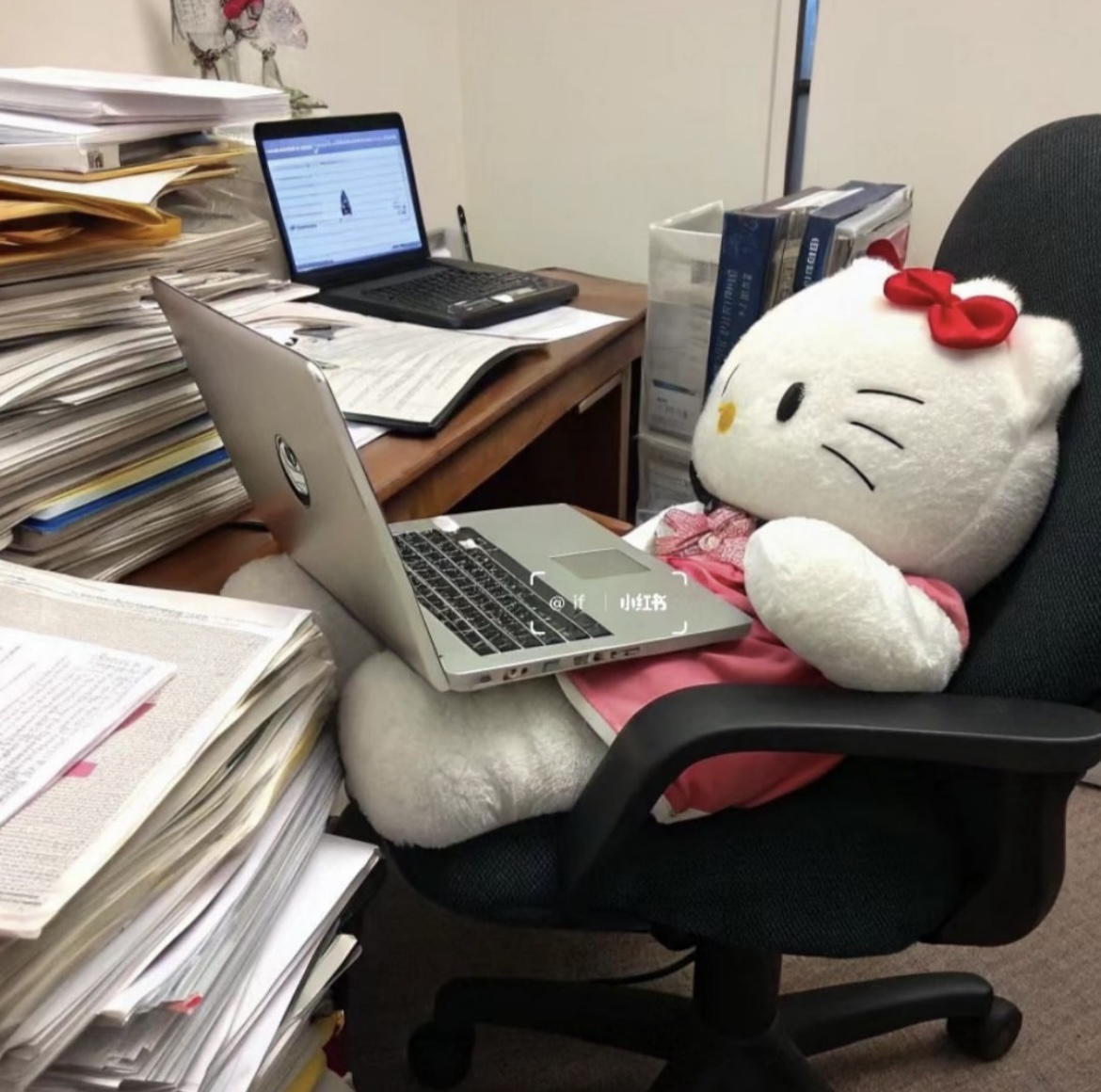 Daye Kim - Developer Profile